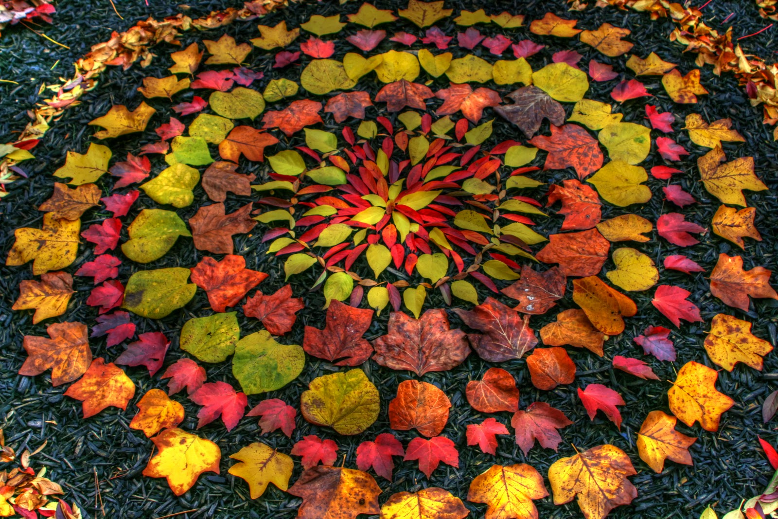 Land Art y sus artistas. El arte de la Tierra y el planeta.